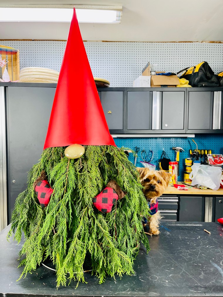 Make a Christmas Gnome with Live Tree Branches – Holiday DIY (Video ...